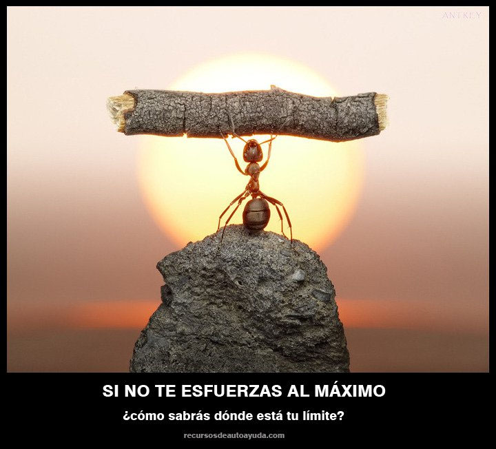 LA REFLEXION... - Página web de mmcol