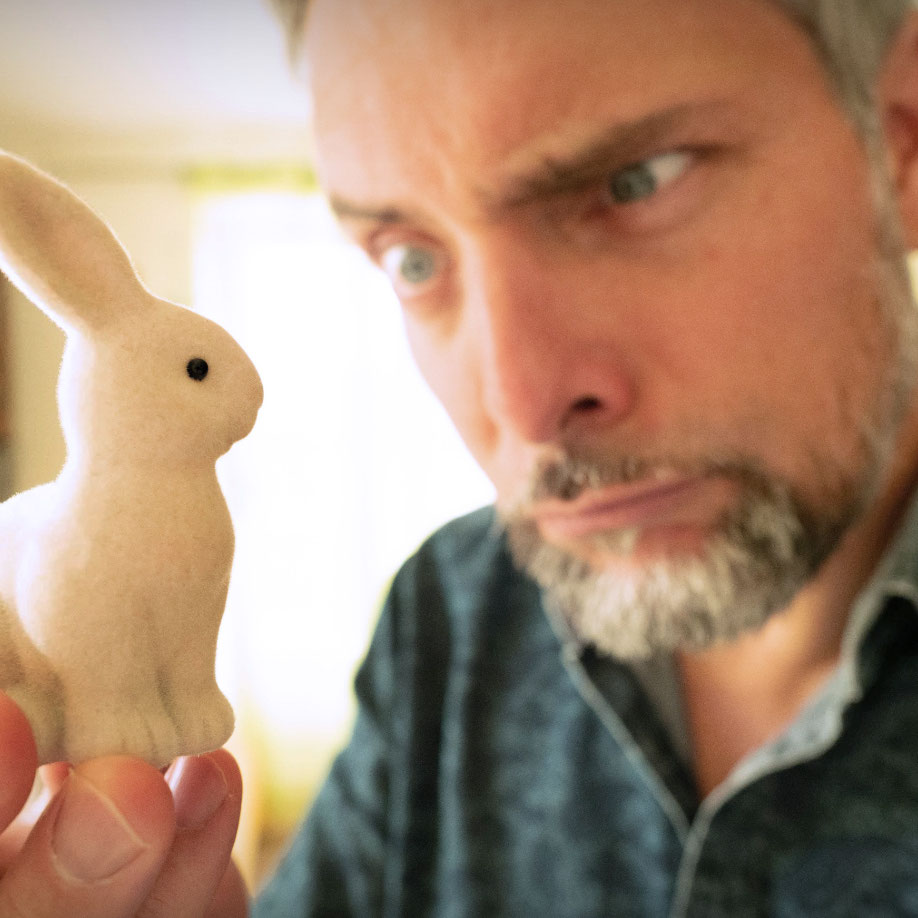 Suivre le lapin blanc. - Christophe Leclaire │ Éclairer & explorer la ...