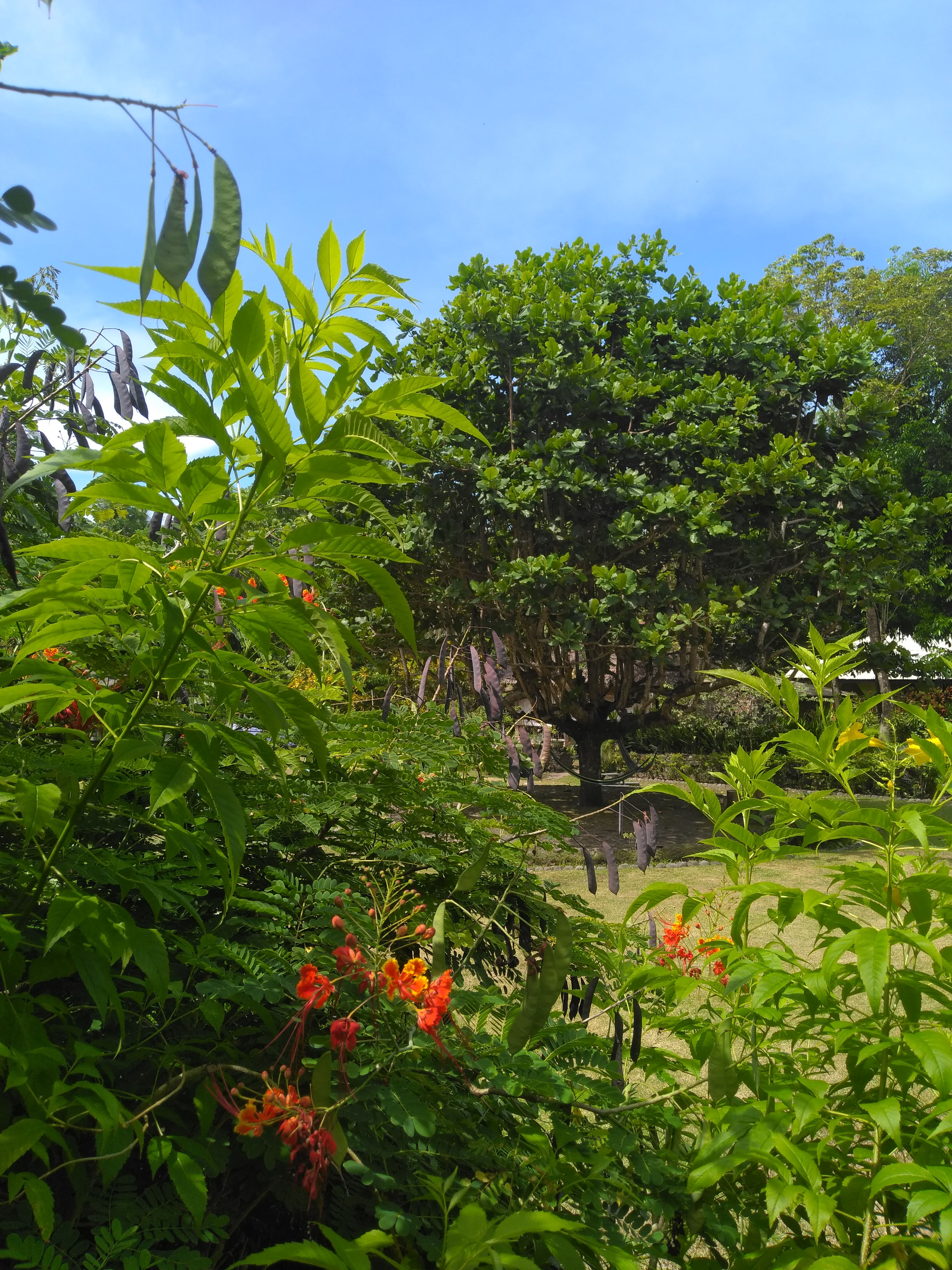 Why the Nypa Style Resort? - nypastyleresort JimdoPage!