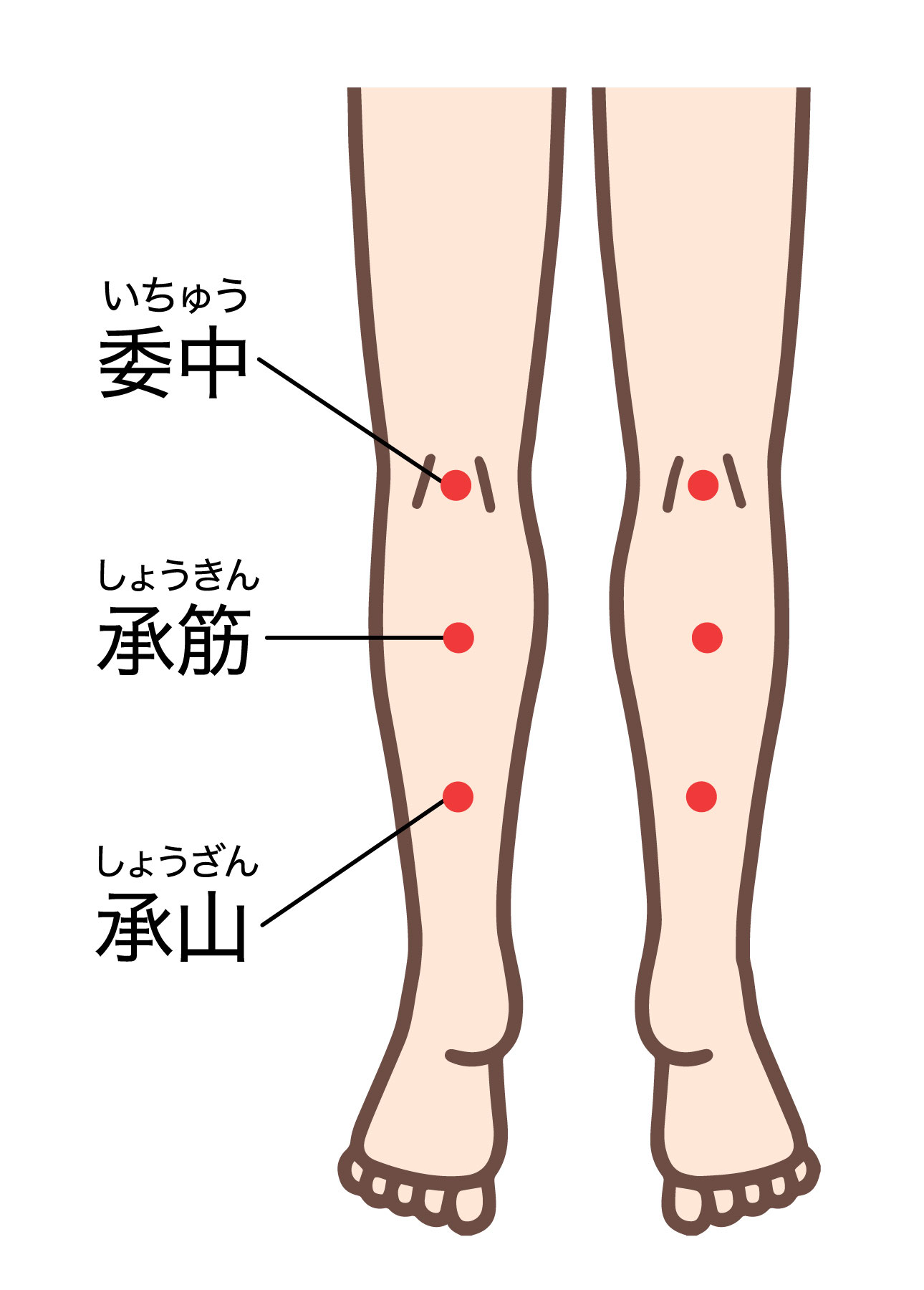 栄養でも水分でもない【足がつる原因】がある - 【女性セラピストの女性専科整体】sarume 北参道
