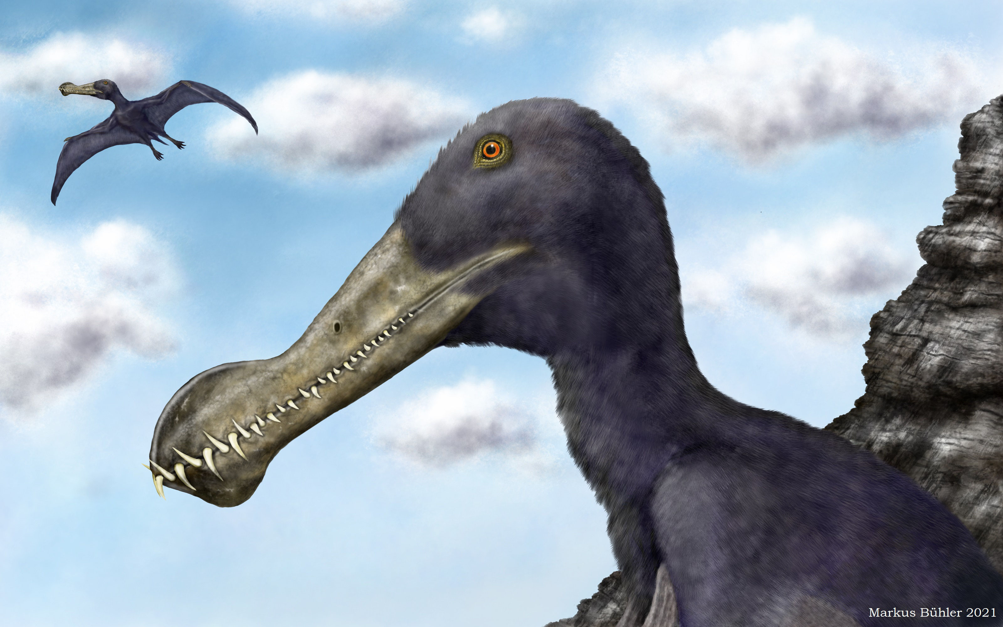 Pterosaurs - Pascal Abel, Paleobiology