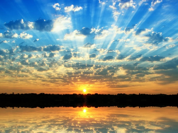 Qu'est ce qu'une Vie ? - Les Secrets de l'Ourobos