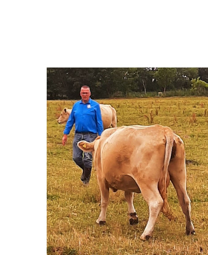 "Suddenly I was attacked by an aggressive cow"... - www.stockmanship.eu