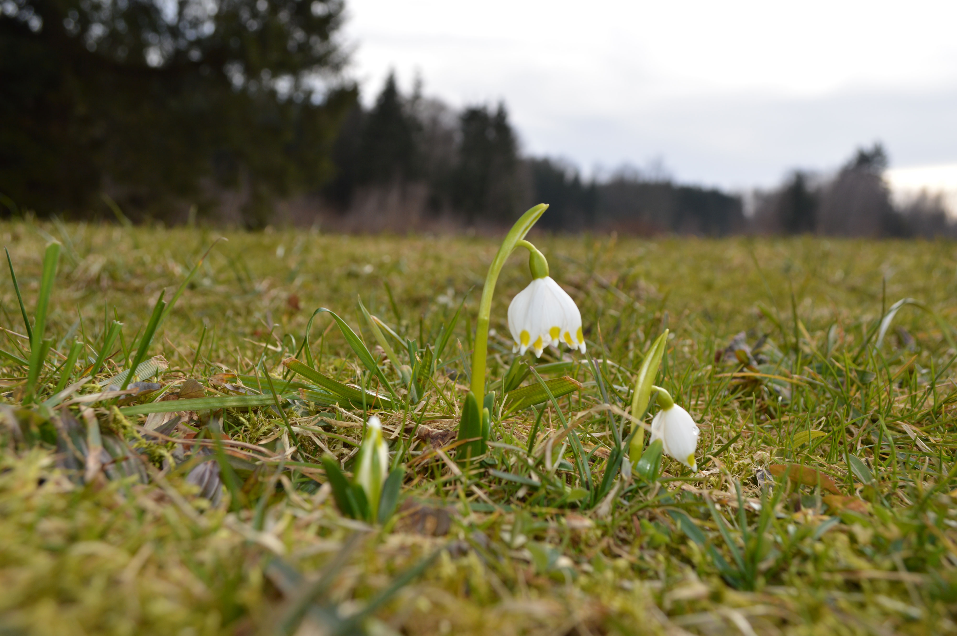 Kraft tanken in der Natur - SENAK Seniorenzeit mit Anita Koller