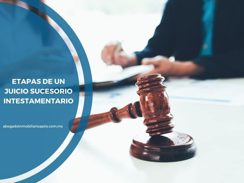 Etapas de un juicio sucesorio intestamentario - alineamiento