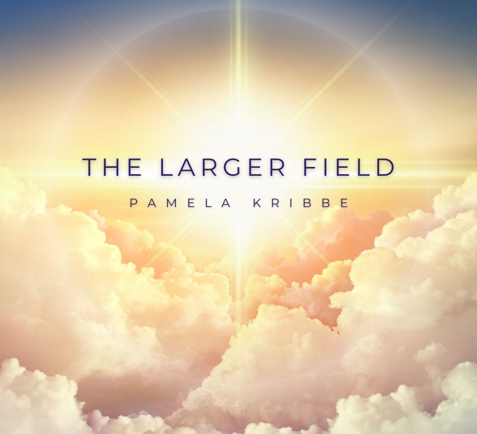 The Larger Field - Lightraisers Worldwide