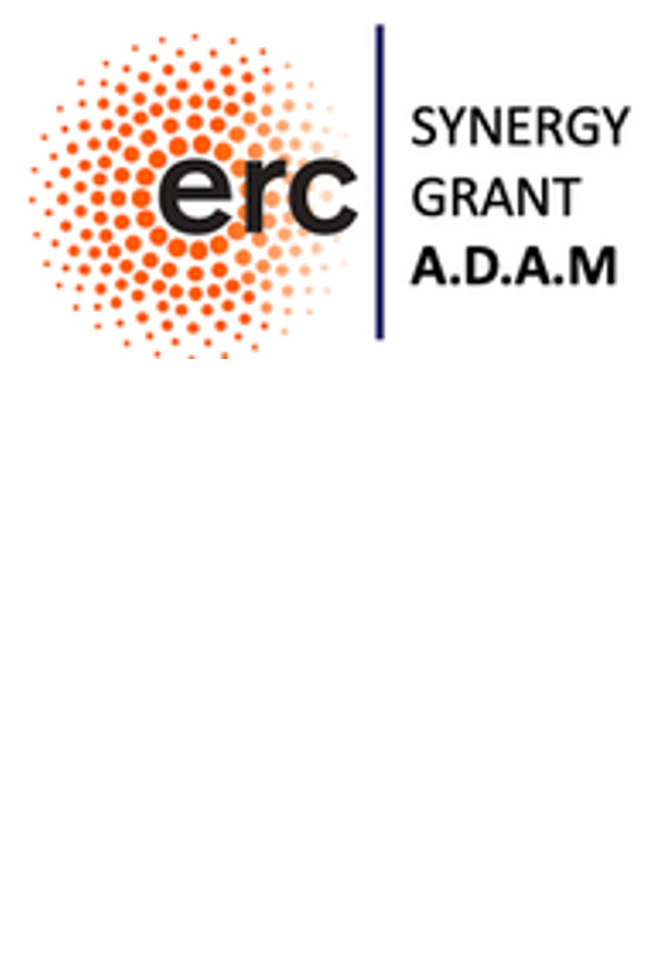 Synergy Meeting ERC Projekt ADAM - celiscas Webseite!