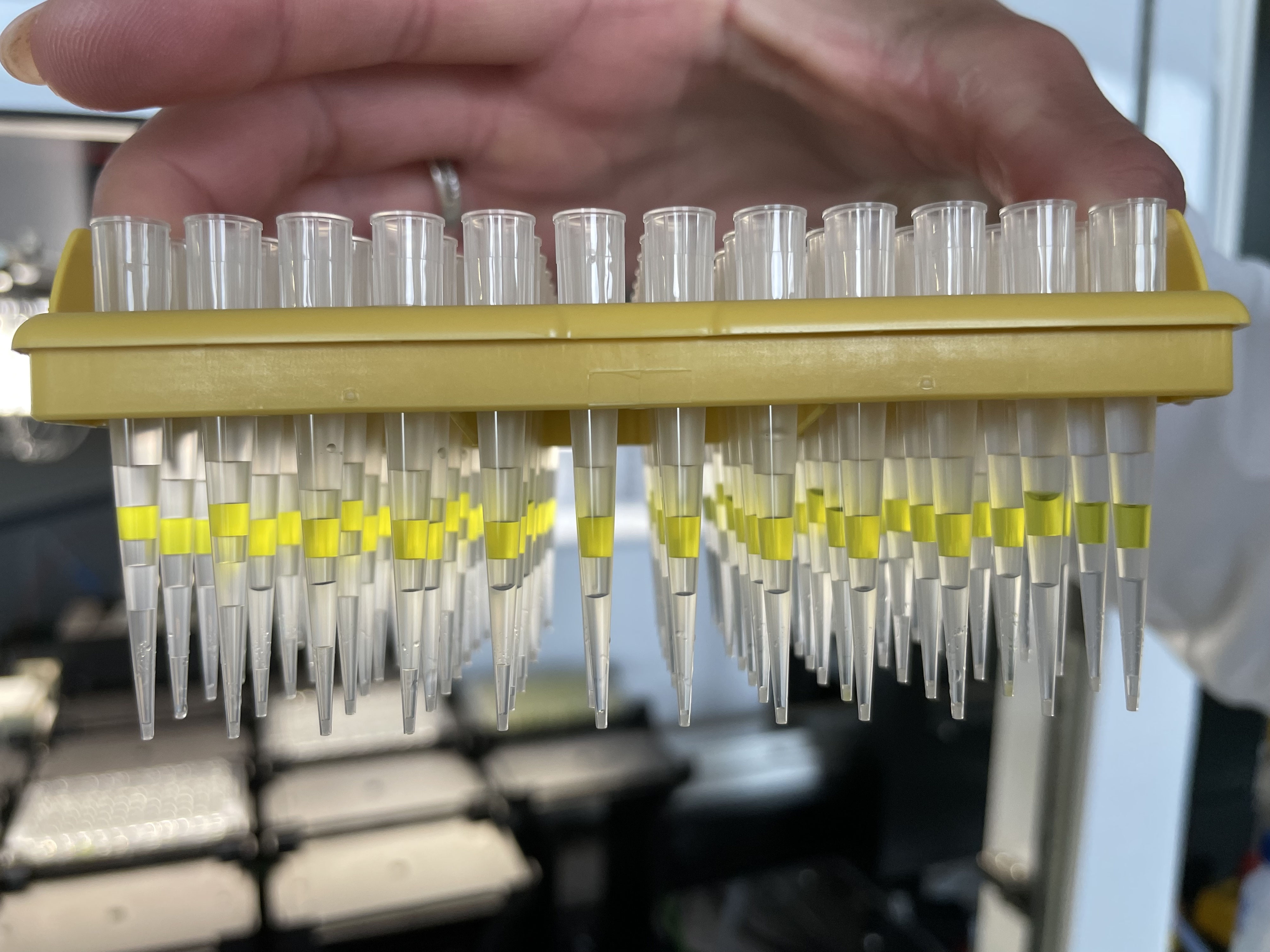Automating the Sample Preparation of Protein Digests on Biomek i7 using Positive Pressure ...