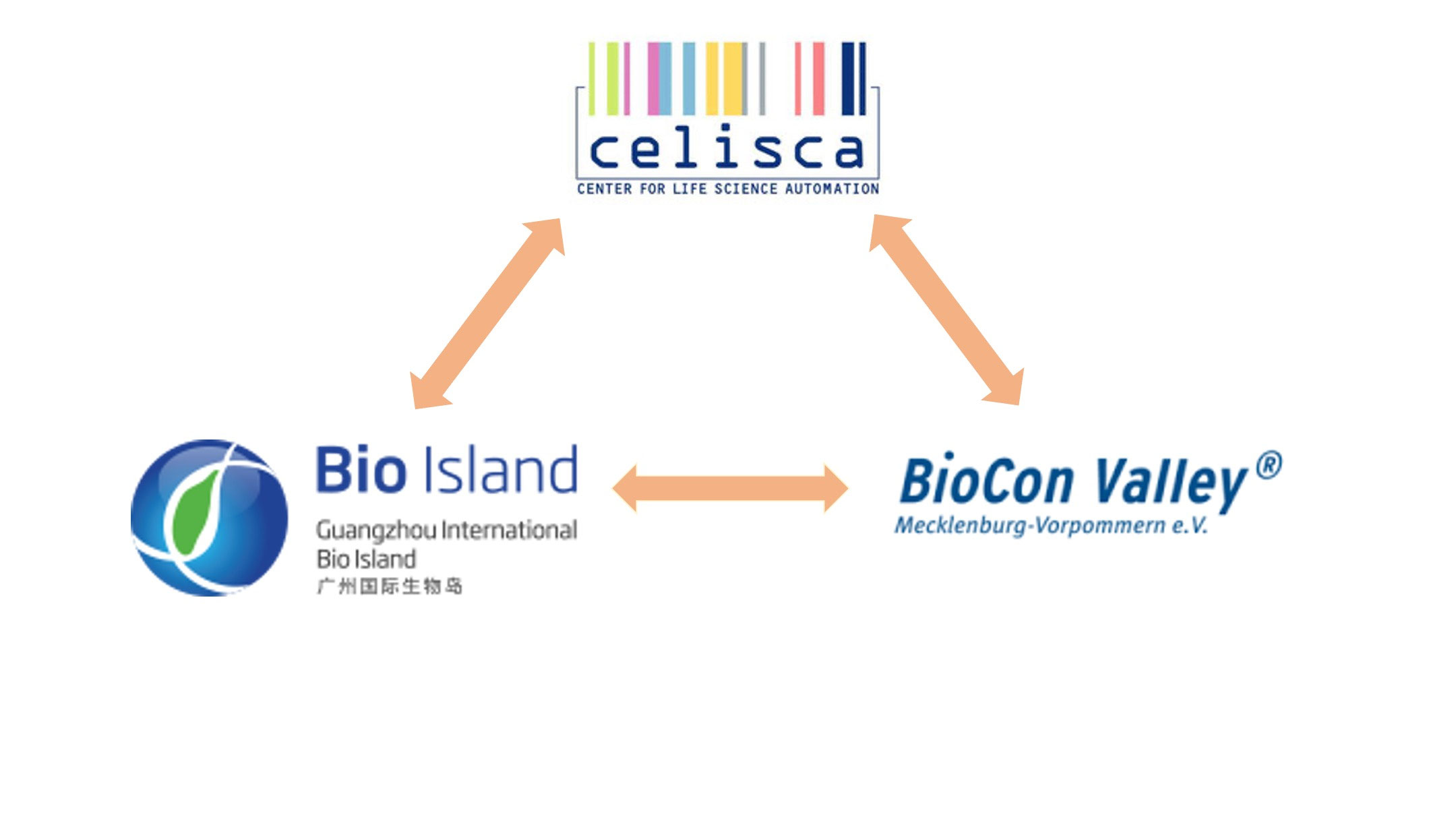 Memorandum of Understanding signed by celisca, Guangzhou International ...