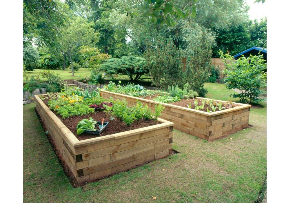 Moestuin aanleggen met bakken: 4 tips om mee te beginnen ...