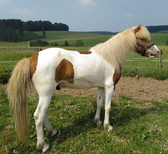 The story behind the story, part three: It’s finished. Or is it ...