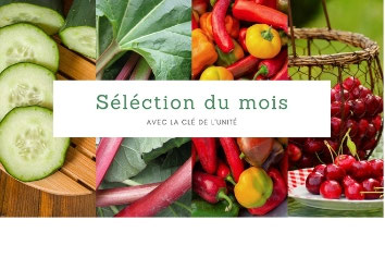 B L O G #78 - Fruits et légumes de saison - Transmettrice Allégeuse