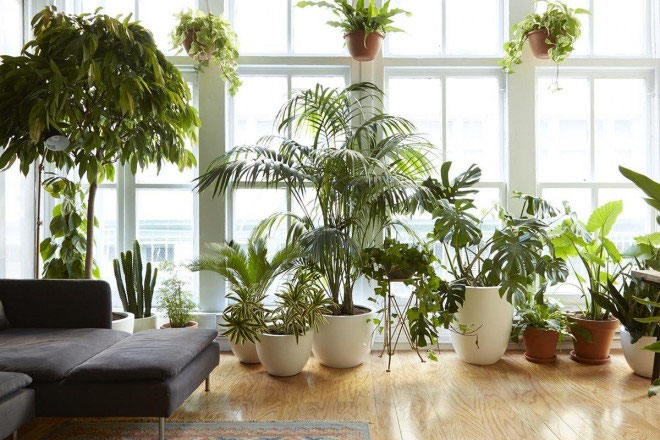 Combine your Italian decor with fabulous plants or stylish vertical ...