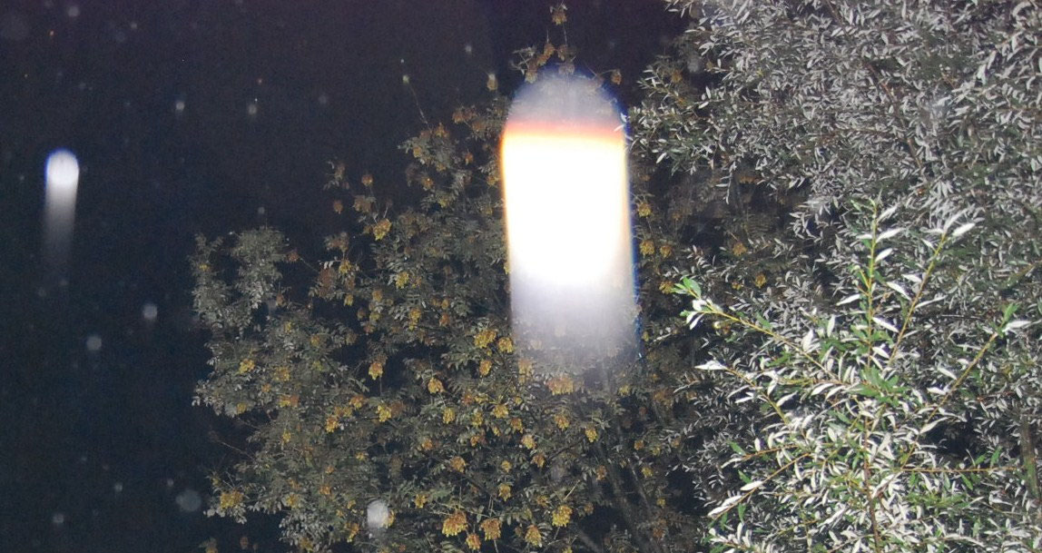 Orbs - Projekt Lichtblick