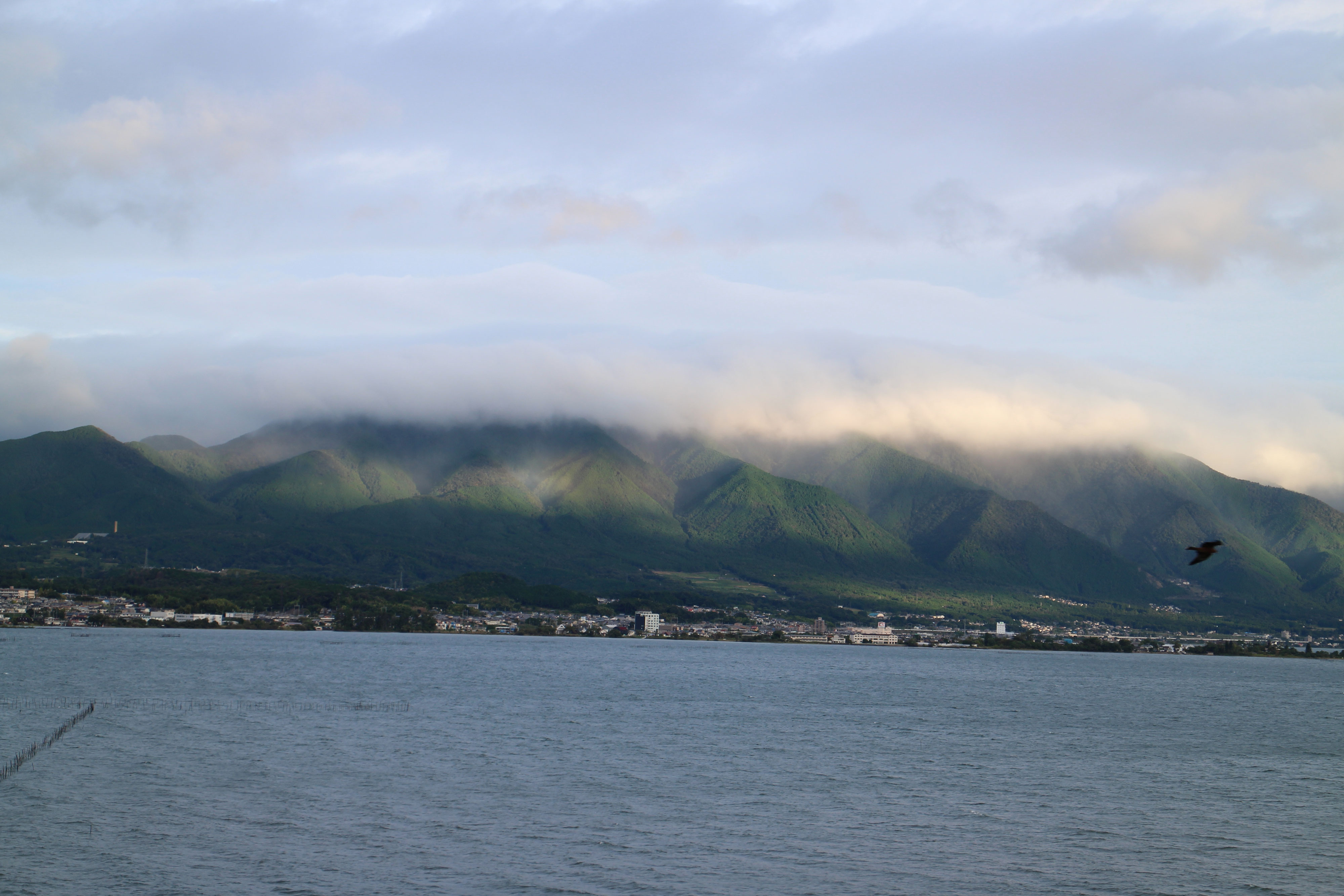 2022年10月6日「アジュガの星のコトバ」 - アストロ・アジュガ西洋占星学