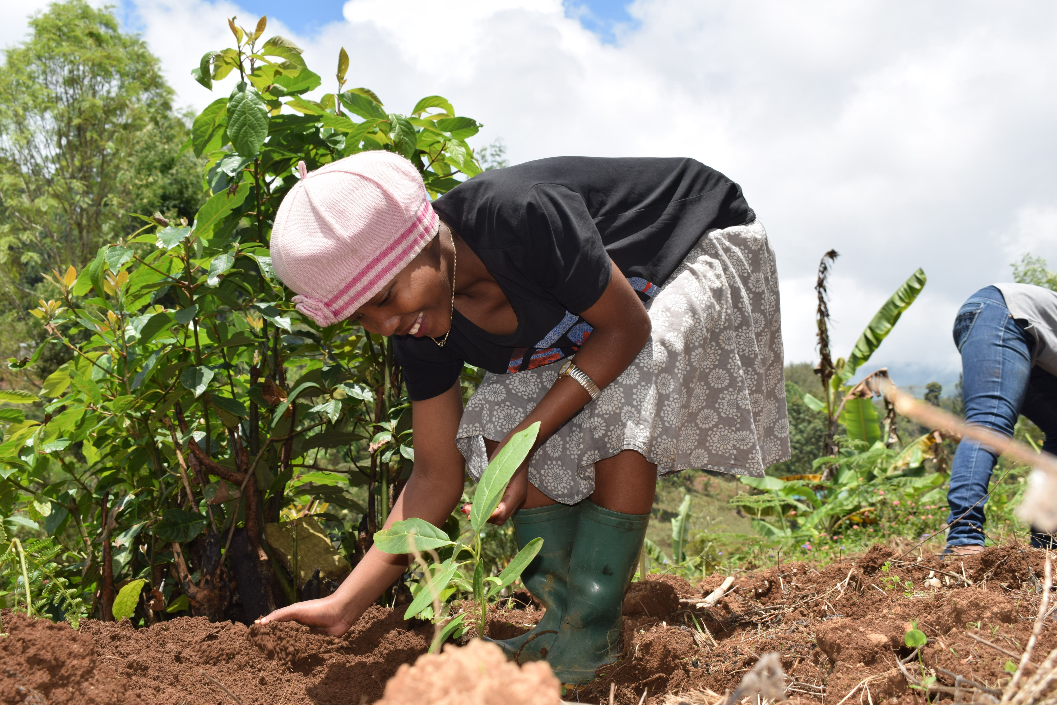 Saving the African forest: efforts and hopes - All around the Planet