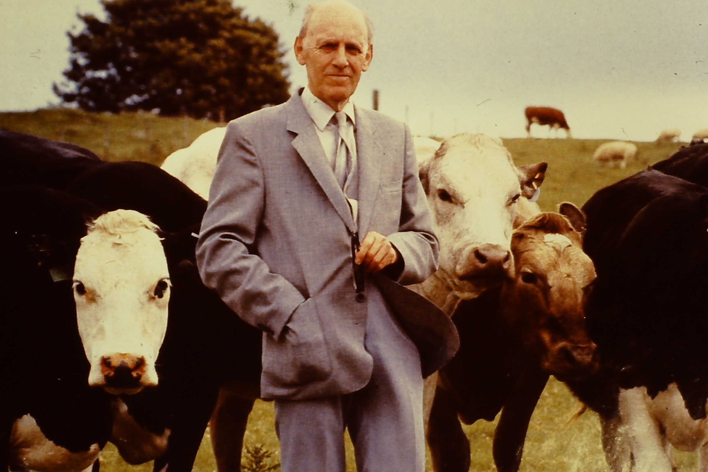Professor Ian Gordon 1928-2021 - AETE - Association of Embryo ...