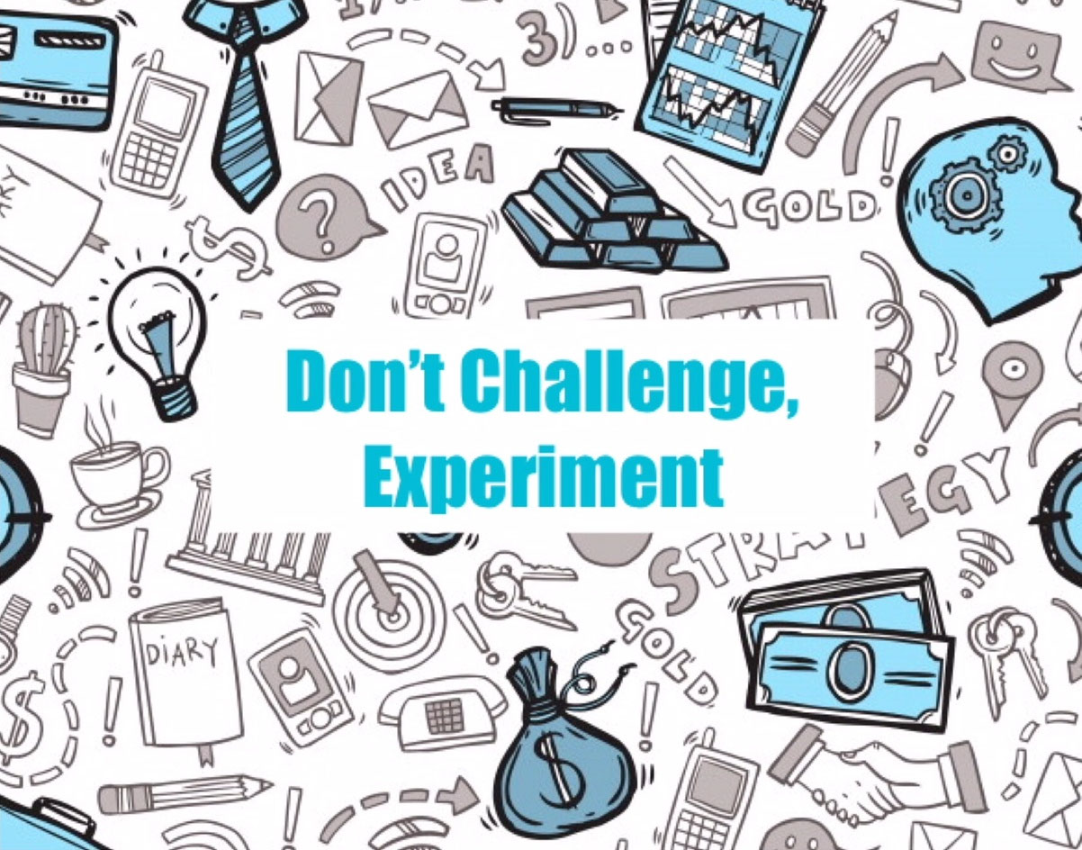 Don't challenge, experiment. - The Domestic Economy