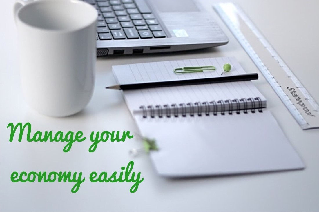 Manage your economy easily - The Domestic Economy