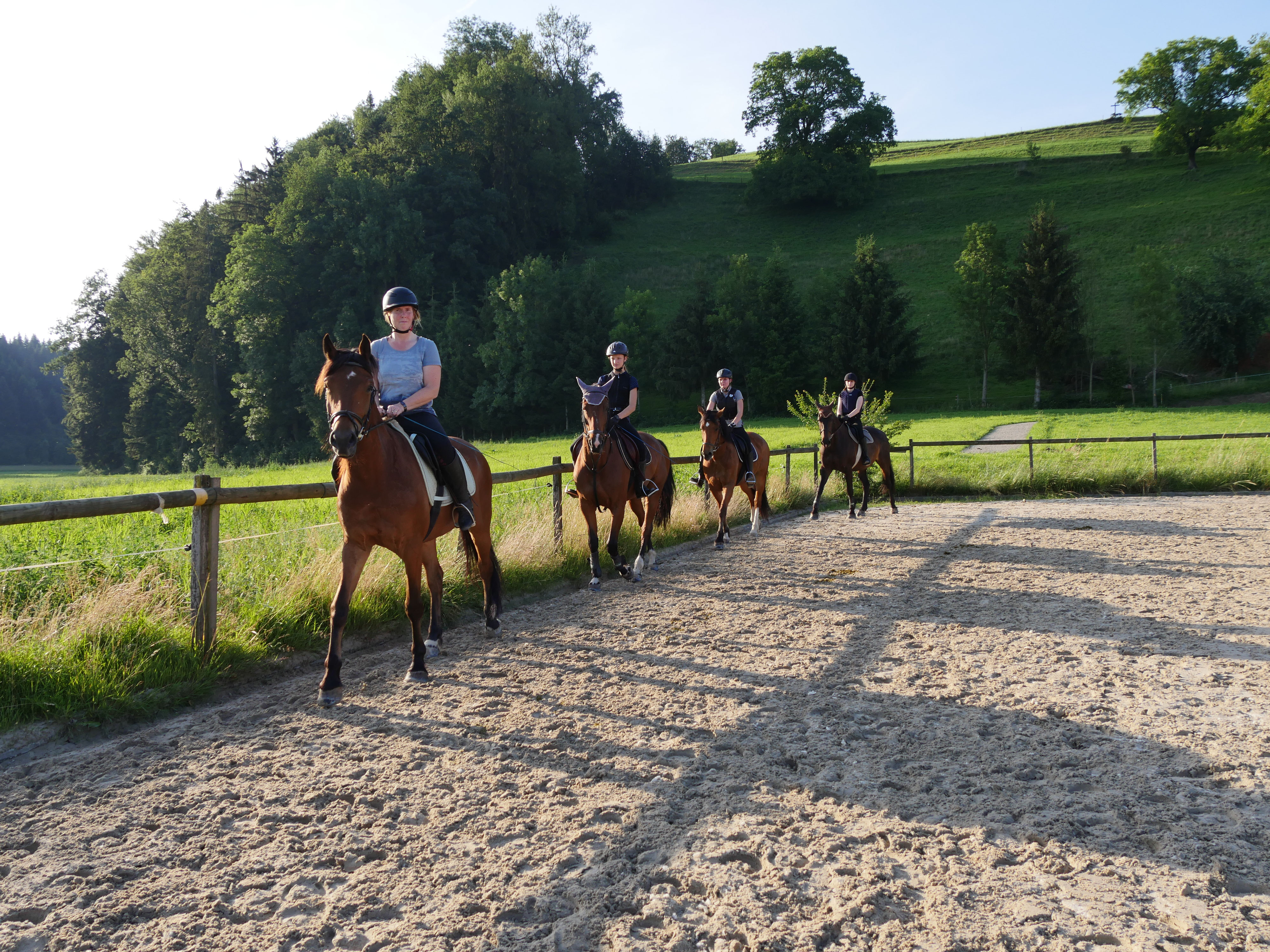 Willkommen - Reitstall AWG