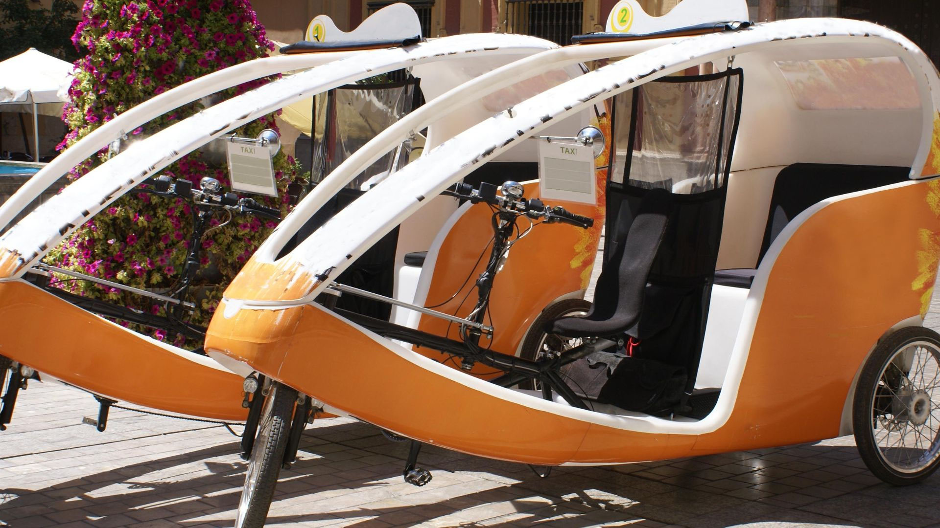 Ausflüge mit der E-Rikscha in Coesfeld - LEADER Region Baumberge