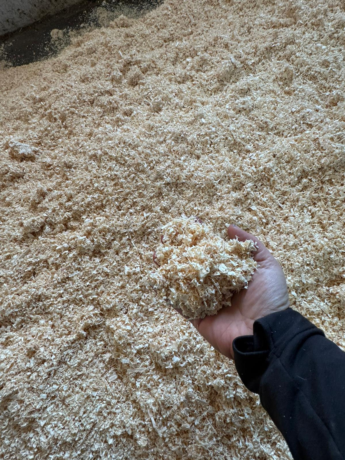 Hufschmied In Der Nahe Ihr Vierbeiner Dankt Es Ihnen Die Ultimative Suche Nach Dem Perfekten Hufpflegerfeed