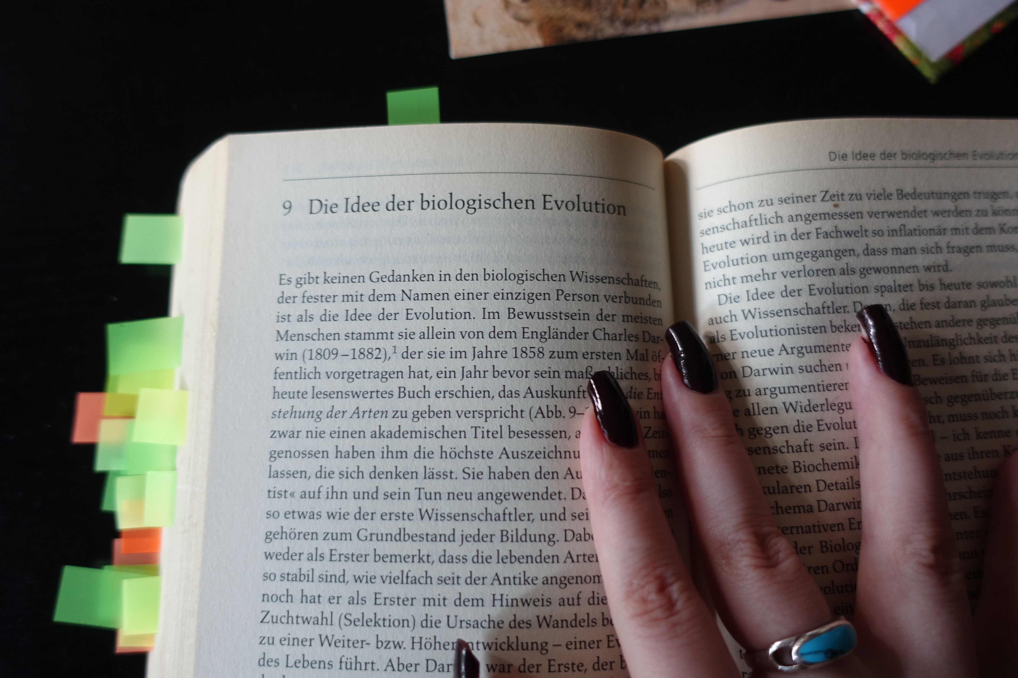 Im Dienste der Sache - minahellfires Webseite!