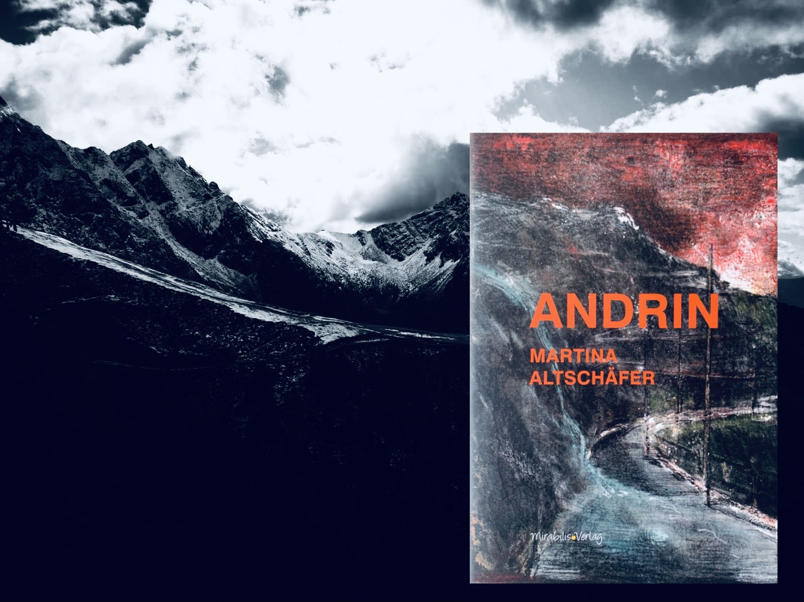 Martina Altschäfer: Andrin - Dr. Yvonne C. Schauch - Autorin & Lektorin