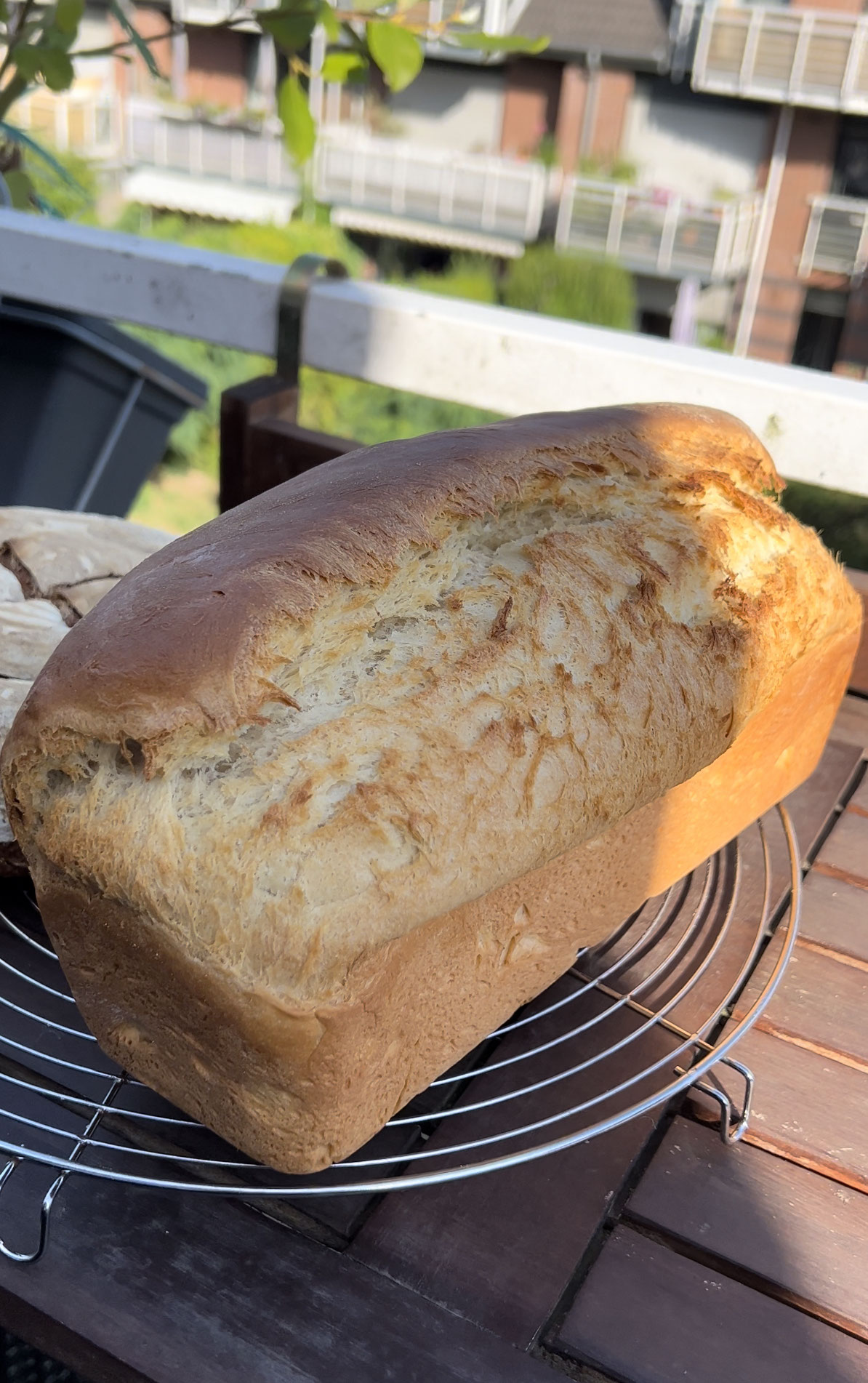 Der goldene Toast - ticket-to-life-des Webseite!