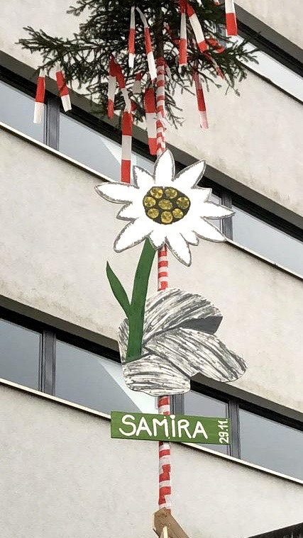Herzlich Willkommen - muff-gartenbaus Webseite! Herzlich Willkommen - muff-gartenbaus Webseite!