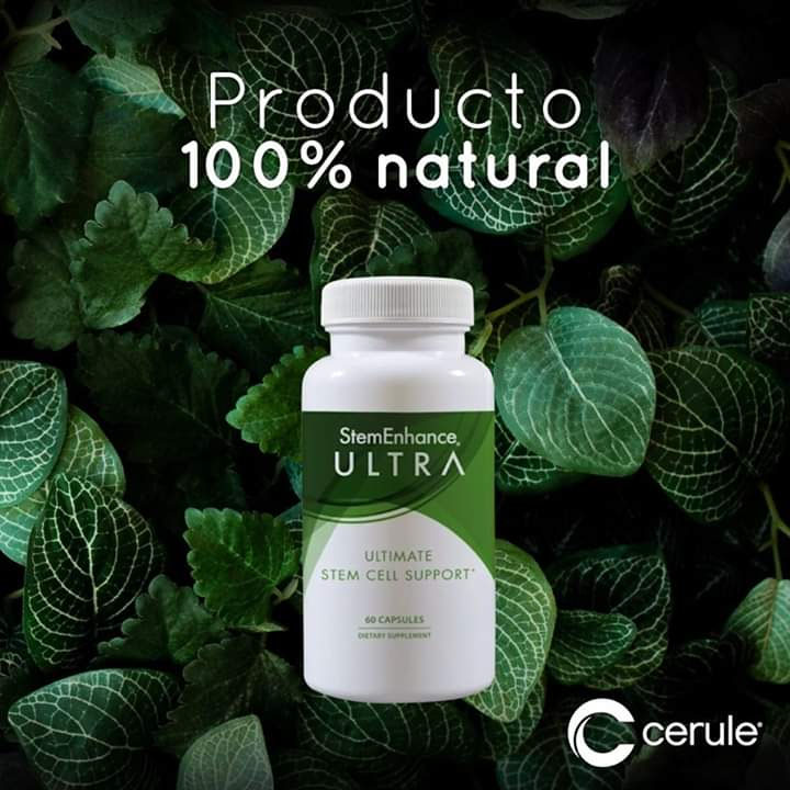 Cerule - #CentroVirtual