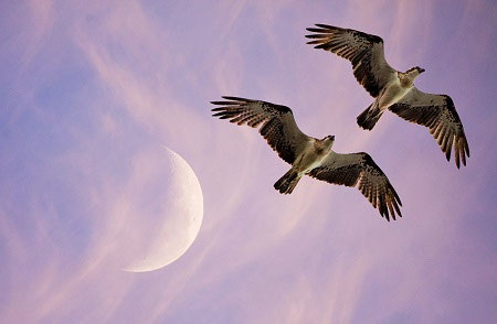 Gleichgesinnte - Seelenforscher.eu