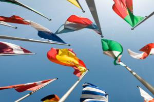 Convention OCDE, Position française - Cabinet e Conseil & Assistance