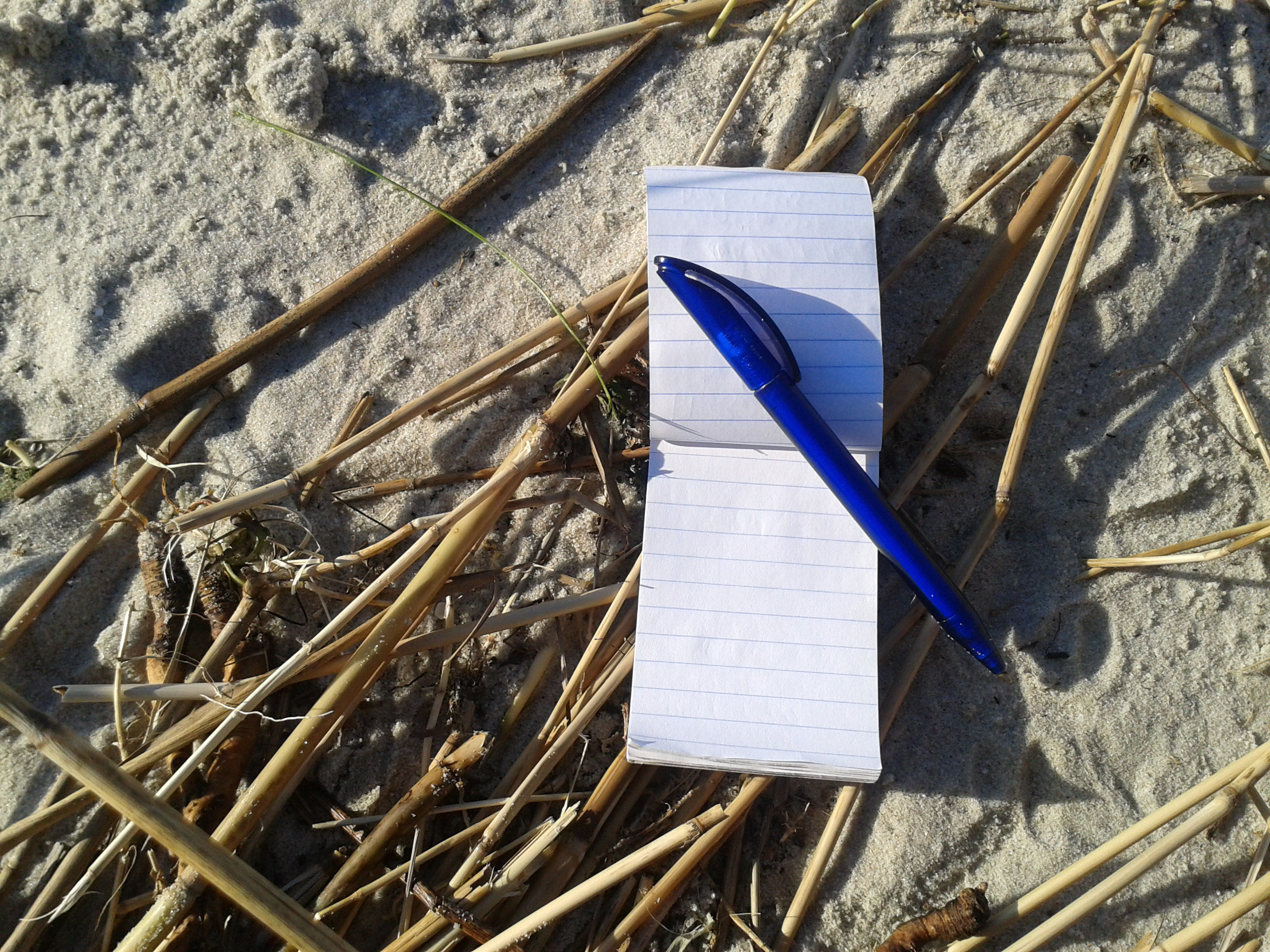 Zwitschern - Weidenborn Verlag