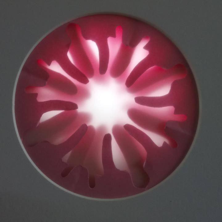 Paper cut gut - jenniepedley