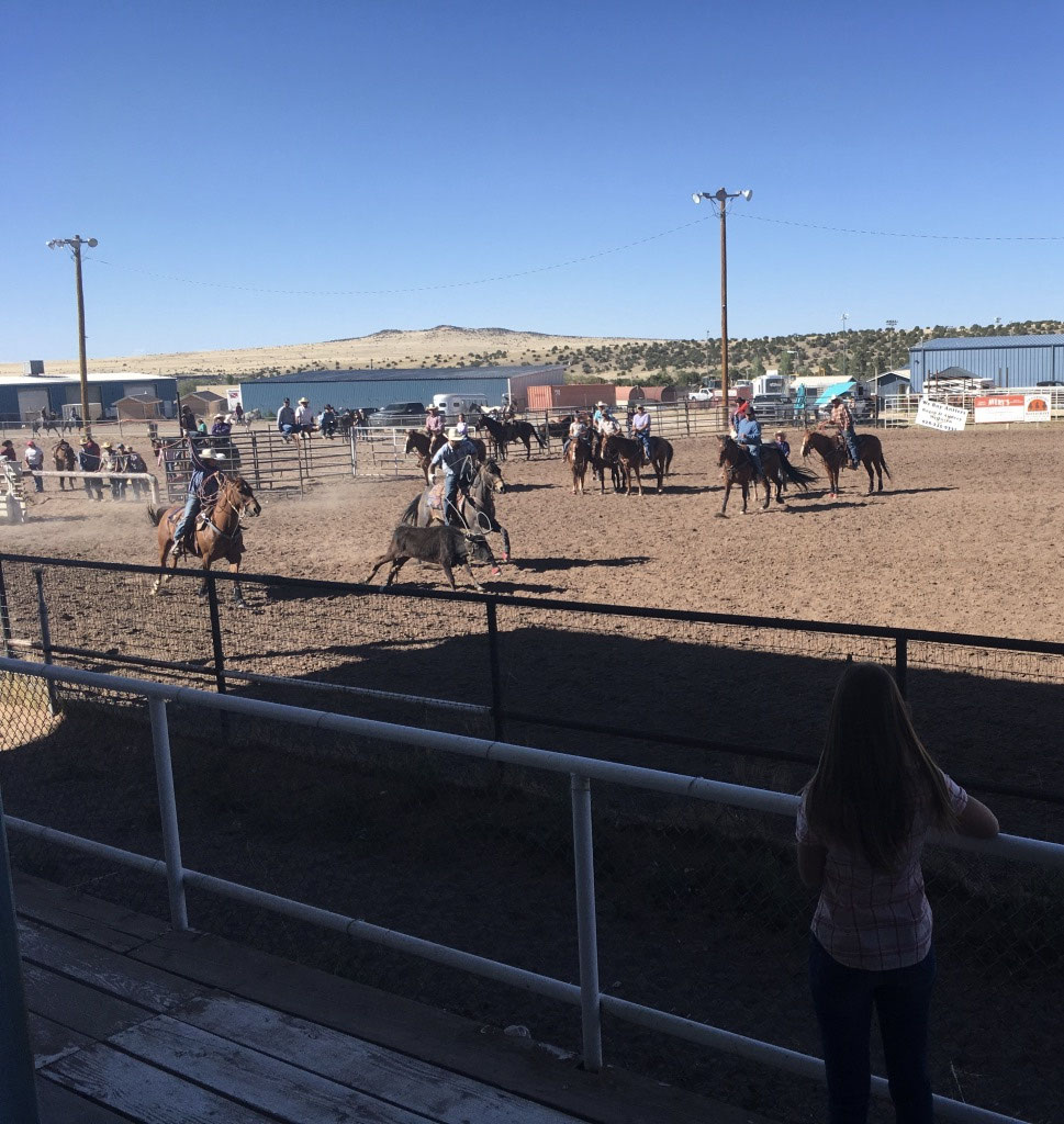 YEEHAA, RODEO! - riciontours Webseite!