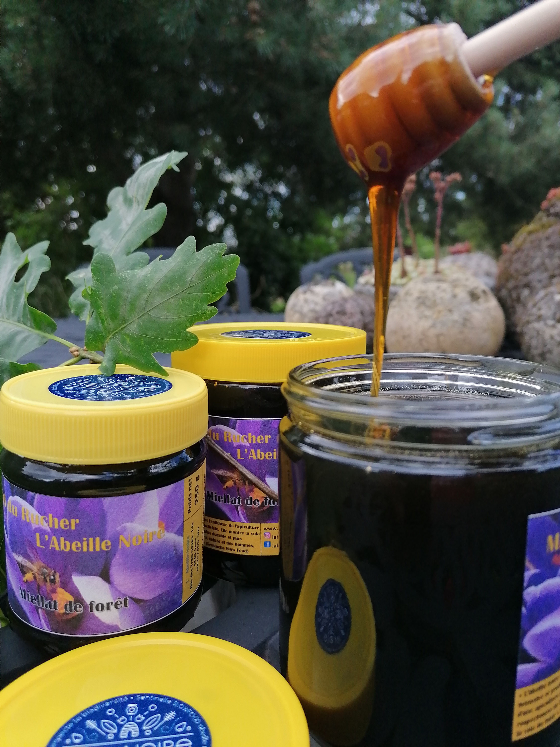Le miellat noir de noires ; L'Abeille Noire - L'Abeille Noire