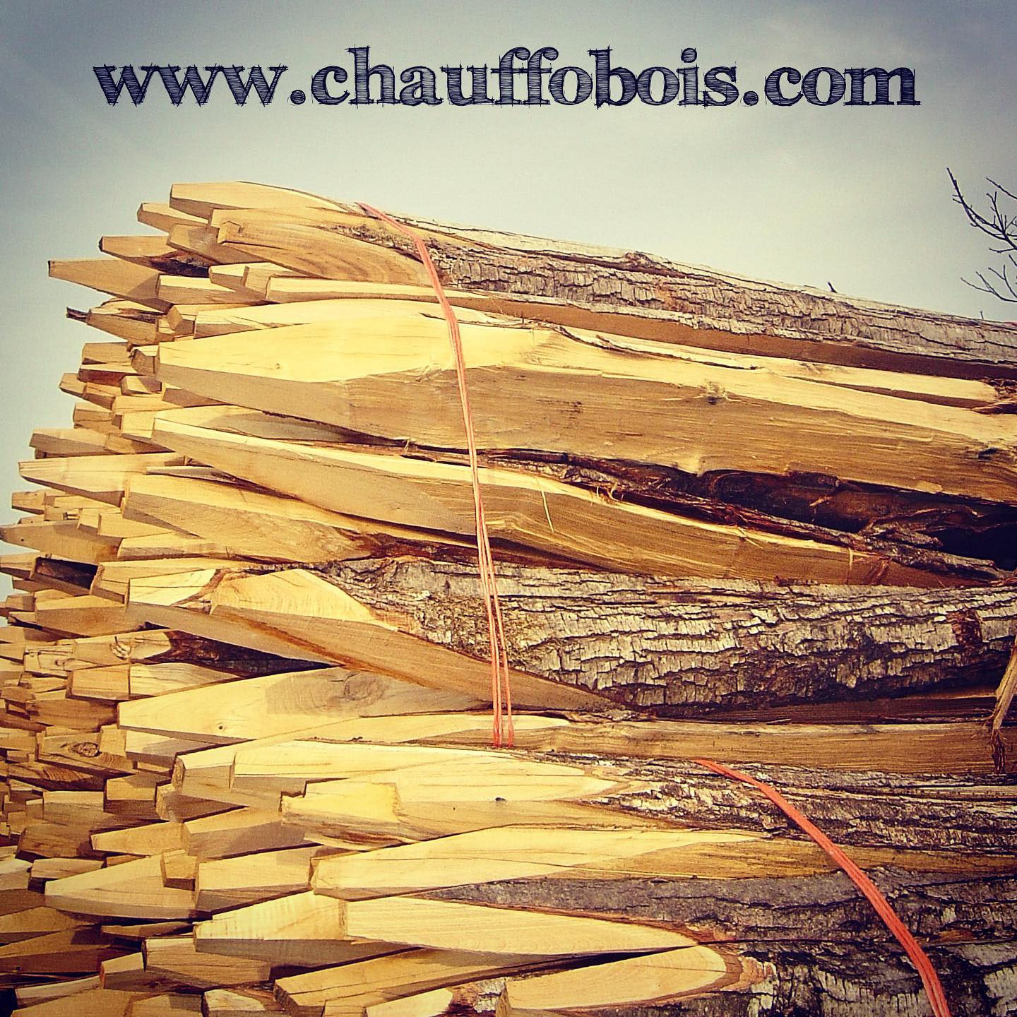 Piquet, pieu, poteau de clôture en châtaignier - Bois de chauffage 49 ...