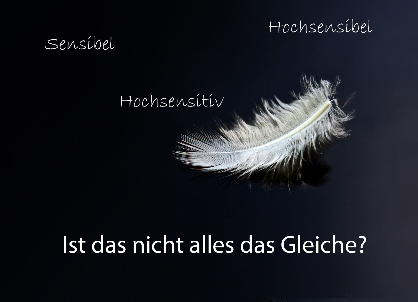 Sensibel - Hochsensibel - Hochsensitiv: Ist das nicht alles das Gleiche ...