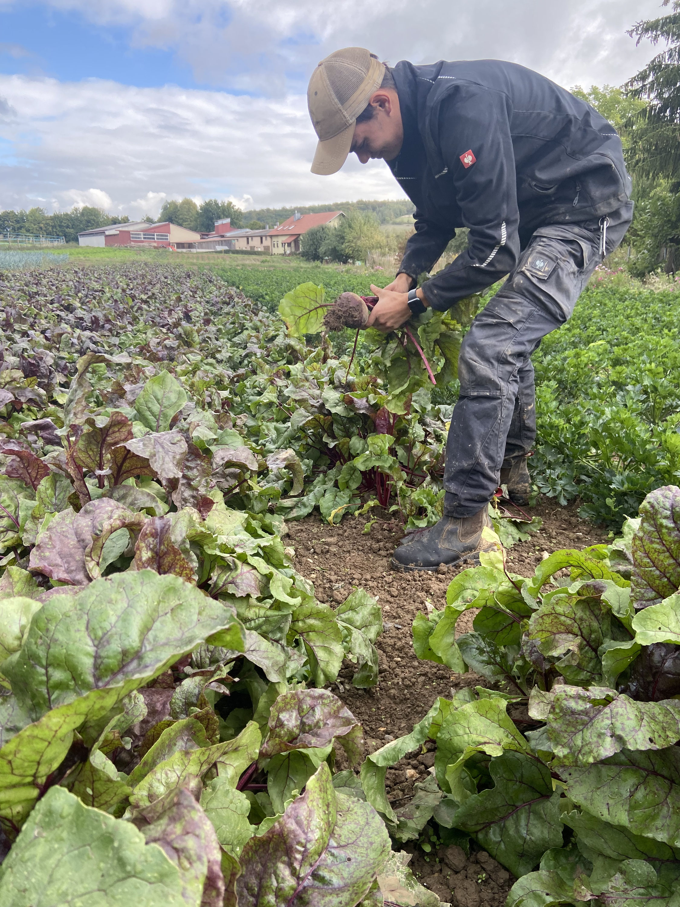 Unser neuer Azubi Johann - Remlinger Rüben