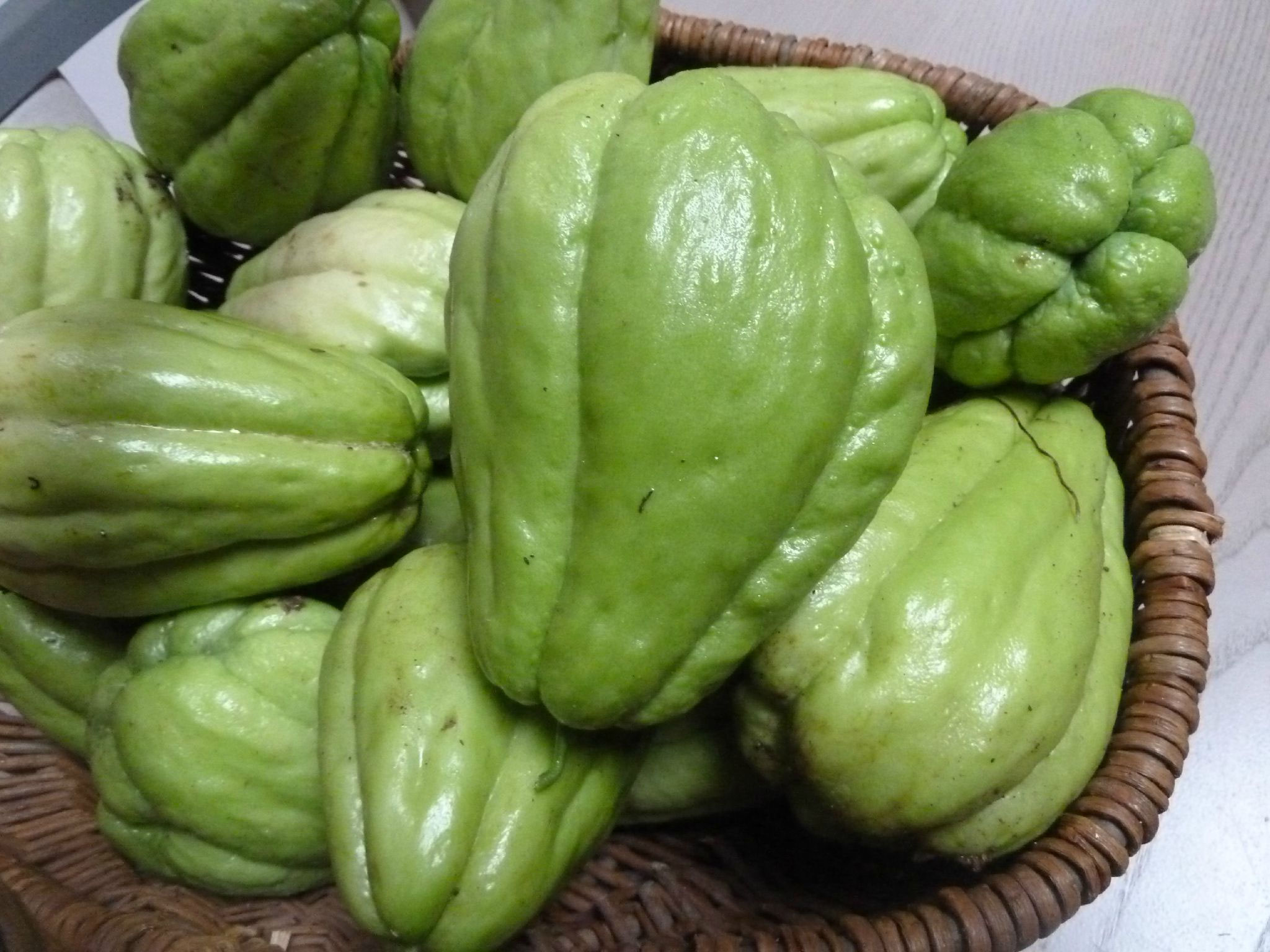 Tayota - HOLA DOMINICANA