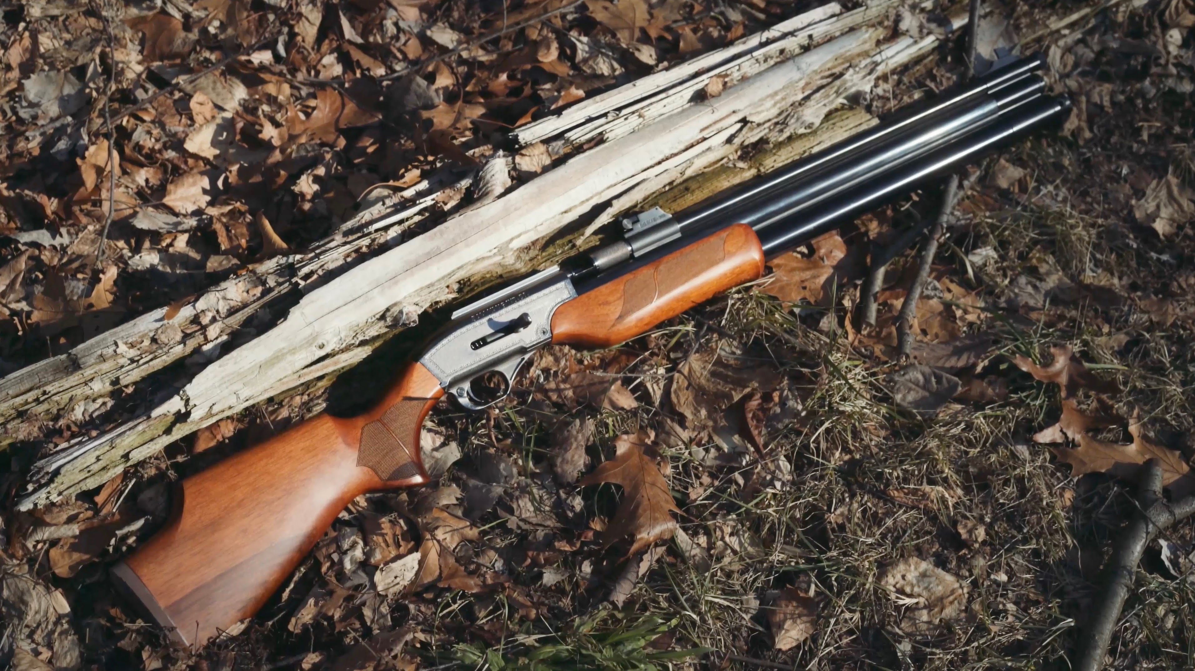 Best Quiet Air Rifles Model And Their Features - murrayhoward