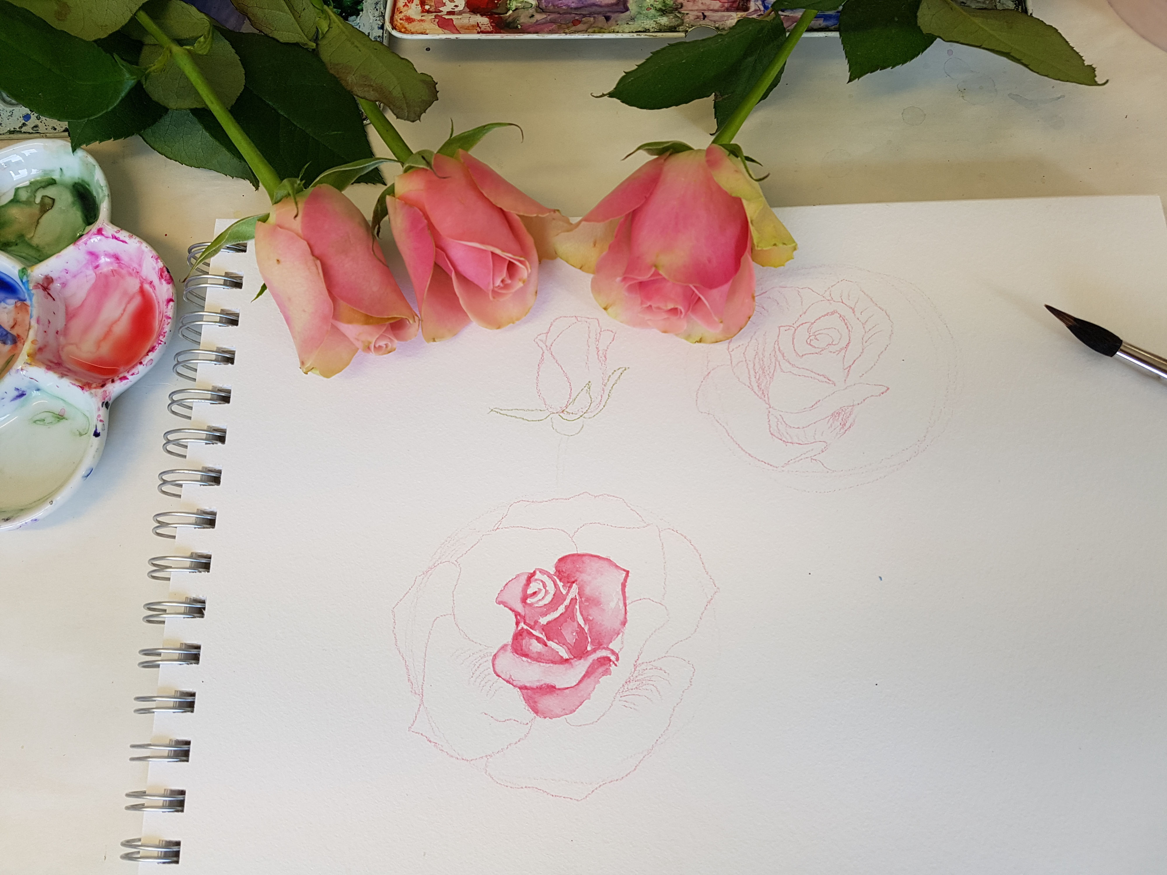 Aquarellkurs - Rosen malen - Atelier - Malschule Mesch Osnabrück
