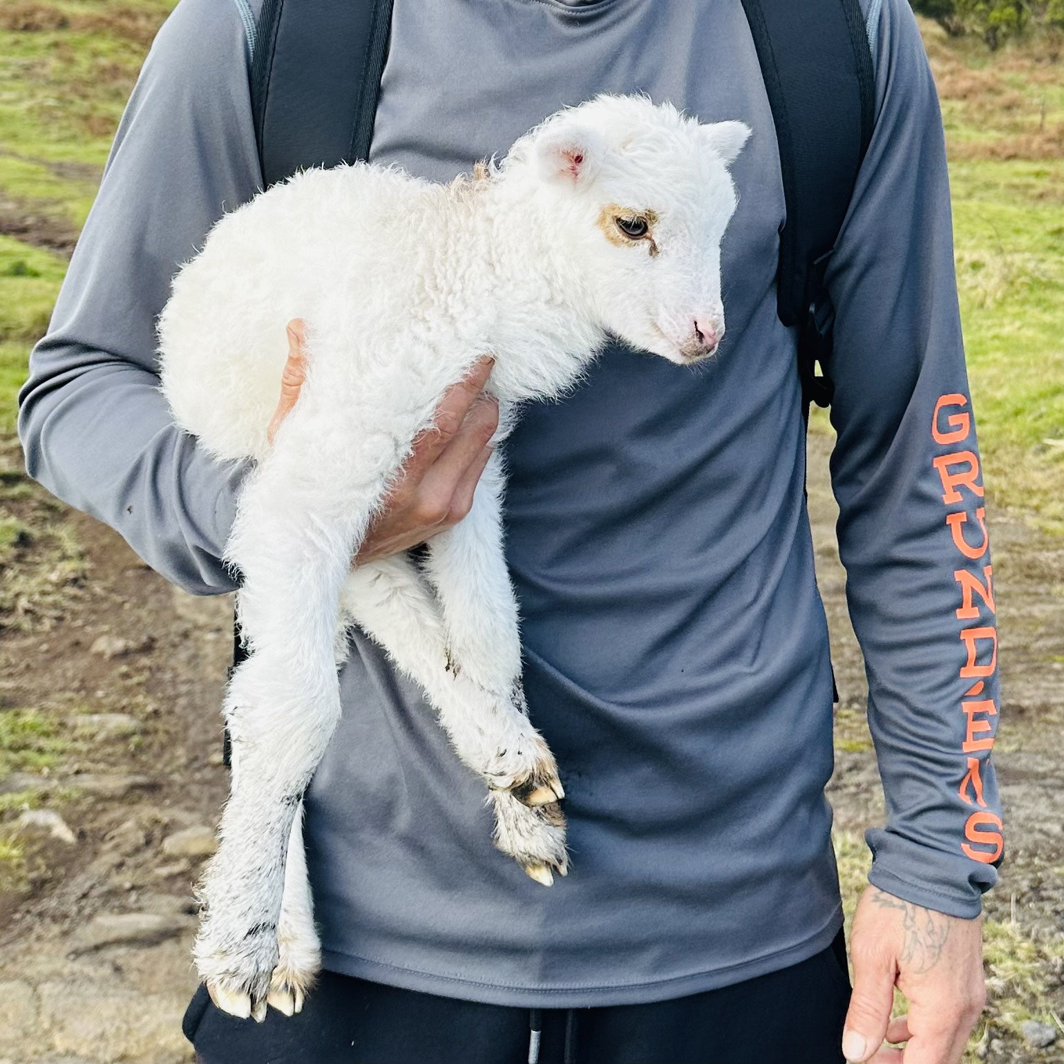 Finaler Tag 13 . Fastenwandern auf den Azoren . Pico - Elisabeth Rosa . RAUM FÜR ALLES & NICHTS ...