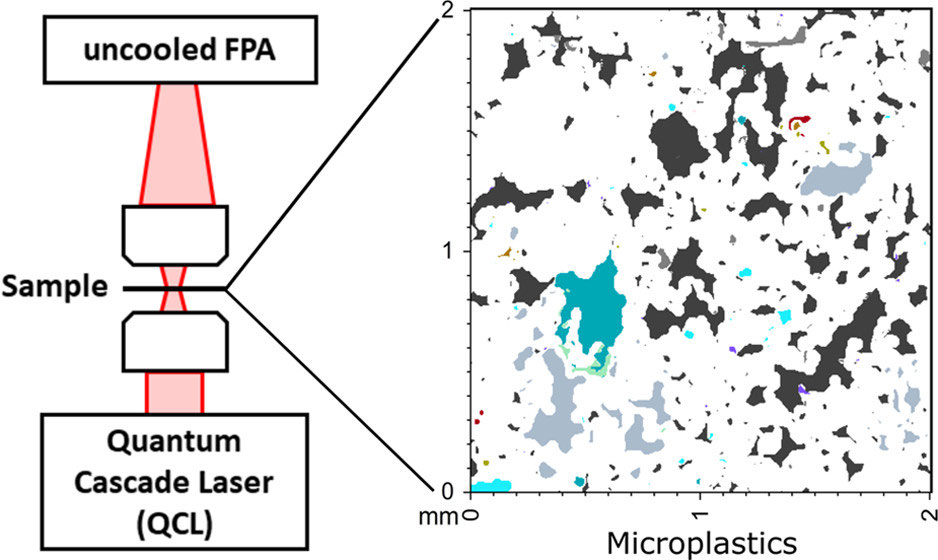 Rapid Identification And Quantification Of Microplastics In The