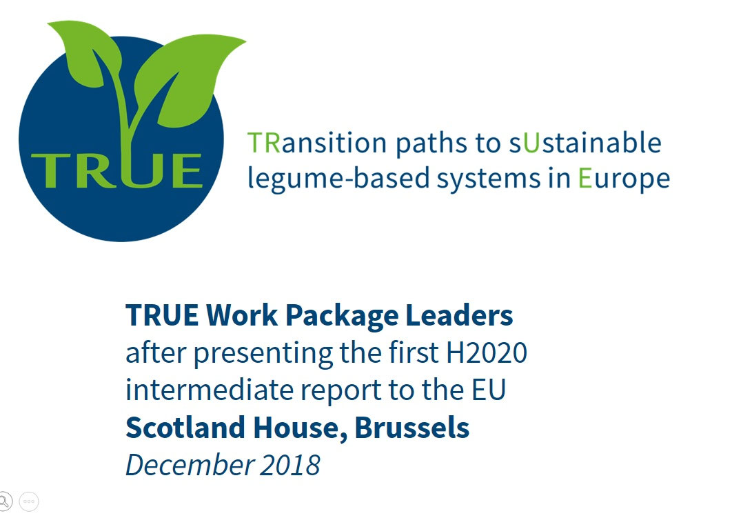 Interview with TRUE work package leaders - TRUE Project