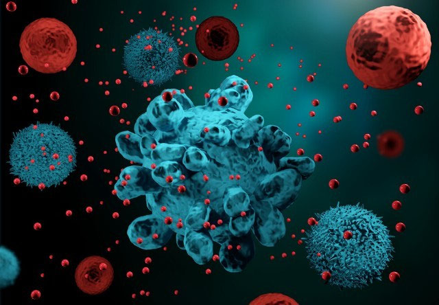 An introduction to the Exosome world - Innovative antibodies against ...