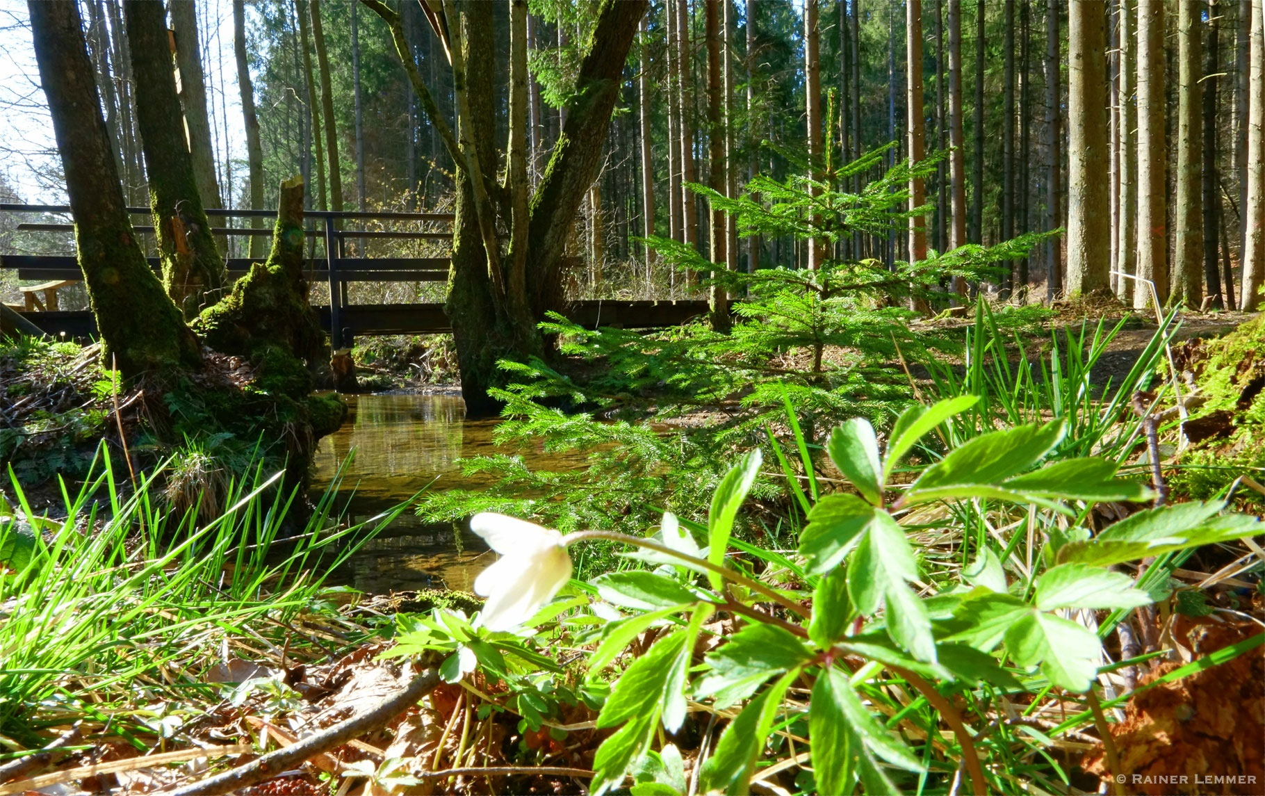 11 km Wanderung auf dem Wasser-Erlebnispfad - Typisch Westerwald ...