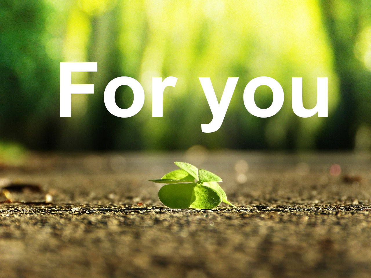 For you - nekkowork99 ページ！