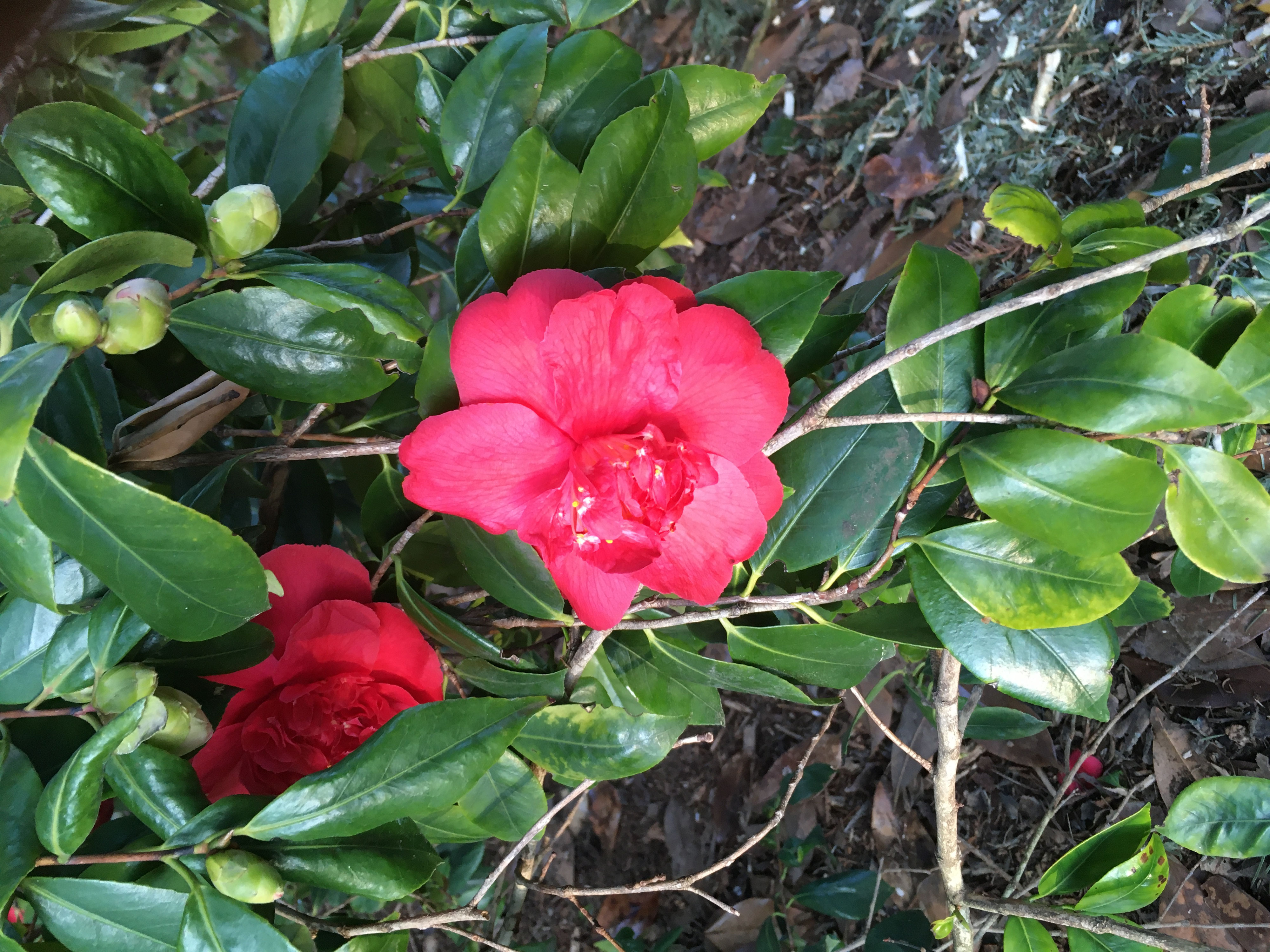 La croisade de Philippe Chabert contre son notaire tourne mal, très mal ...